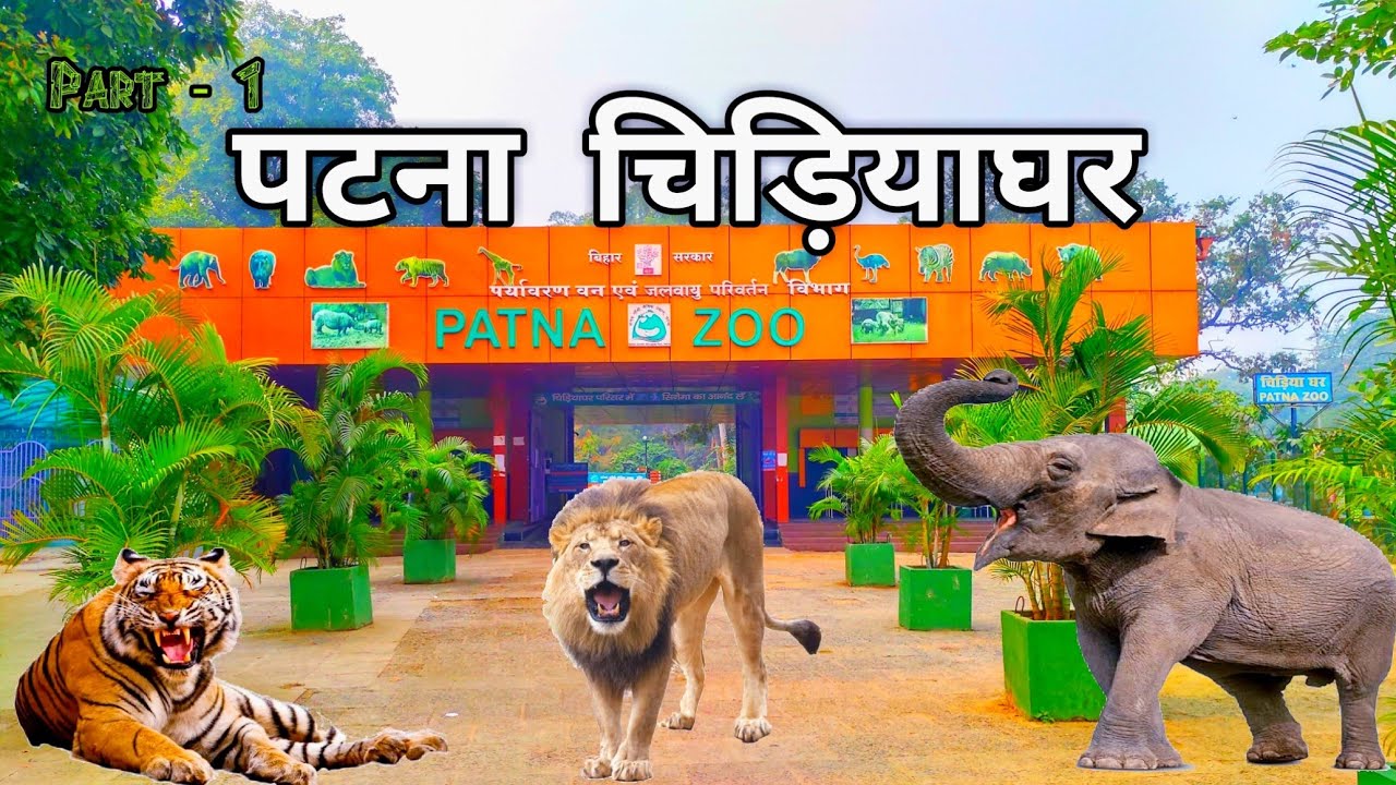 गोलघर और चिड़ियाघर हुआ बोरिंग! बच्चों को लेकर जाए पटना के इन 5 शानदार ...